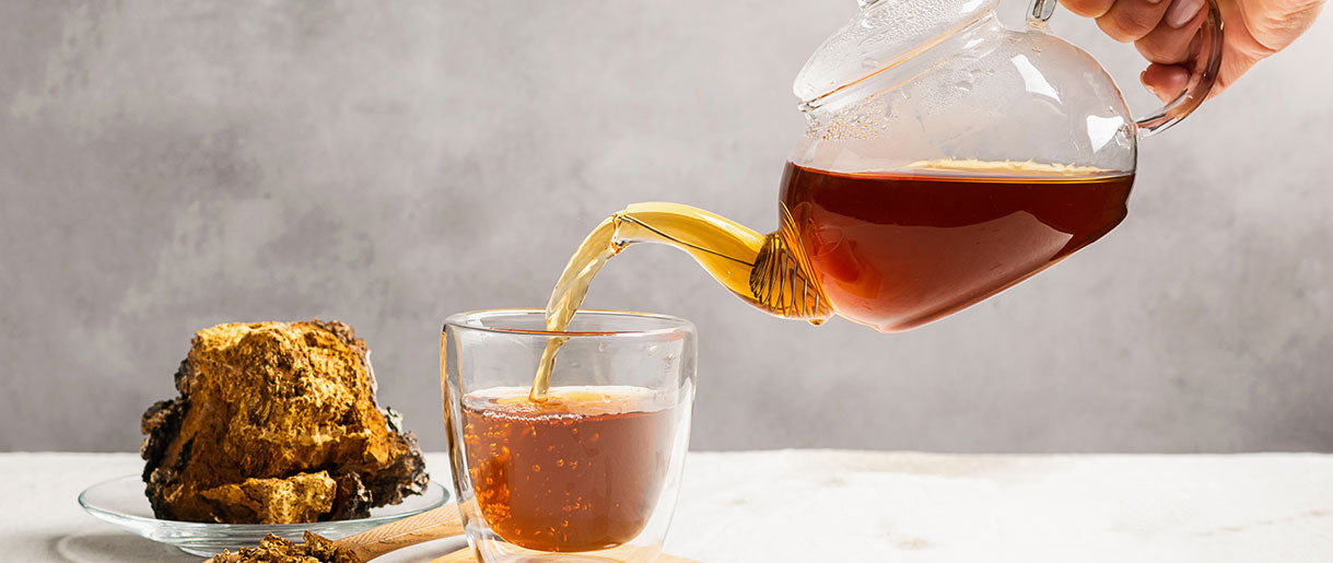 How To Use Chaga Powder: The Guide to Our 5 Go-to Ways - Natures Rise