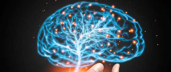 Science-Backed Reasons People Use Vitamin B for Memory - Natures Rise